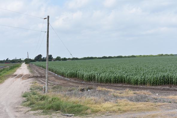 Property Search – Foster Farm & Ranch